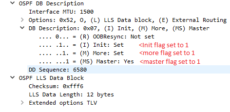 OSPF Database Description Packets – The Traceroute Blog