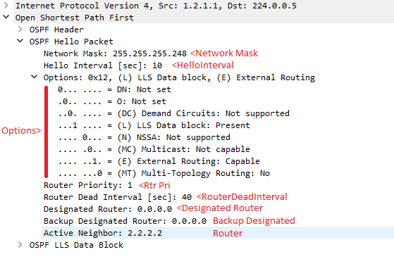 OSPF The Hello Packet – The Traceroute Blog